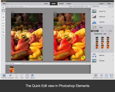 Photoshop CC和Photoshop Elements之间的差异 信息 Remo软件