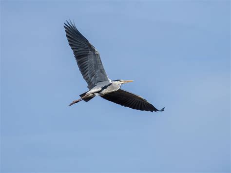 Teenassspreading Photos Download The Best Free Teenassspreading