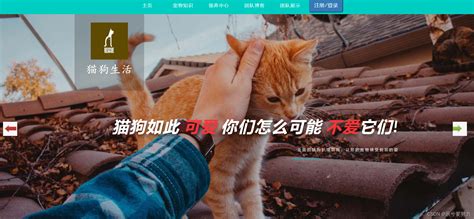 基于ssm的宠物领养系统（附源码） Csdn博客