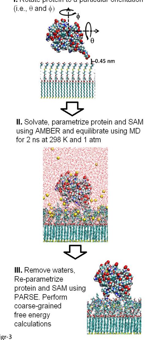 Figure From A Molecular Modeling Based Method To Predict Elution Behavior And Binding Patches