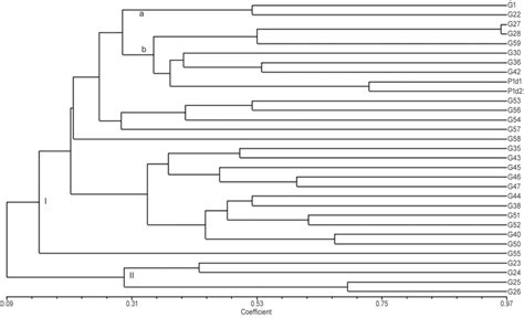 cluster diagram based on dice 1945 similarity matrix by upgma