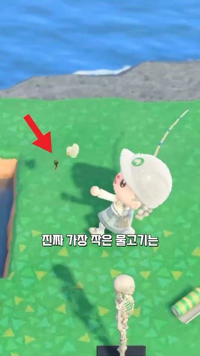 모동숲 제일 작은 물고기 Youtube