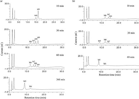 Degradation Of Man 9 Glcnac 2 A And Man 8 Glcnac 2 B By Smsds A 10