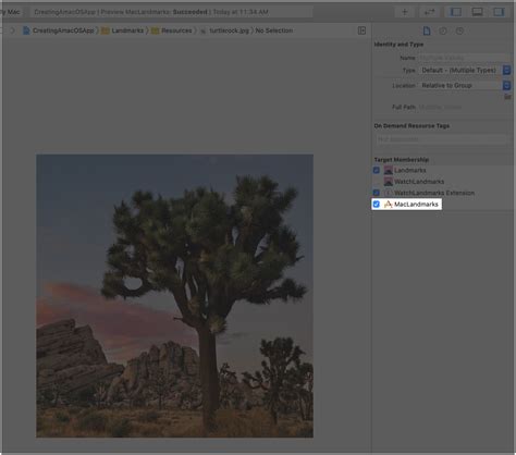 Creating A Macos App · Williewangweiswiftui Tutorials Wiki · Github