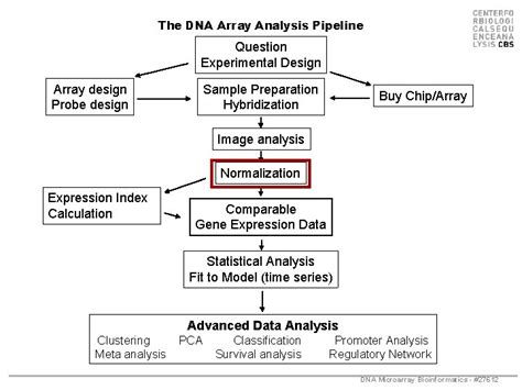Normalization Getting The Numbers Comparable DNA Microarray Bioinformatics