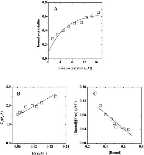 Binding Isotherm And Binding Parameters For The Interaction Between
