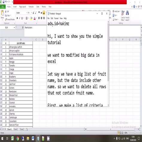 VBA Macro Excel Formula Autofilter 50 Asterix Criteria For 25 CodeClerks