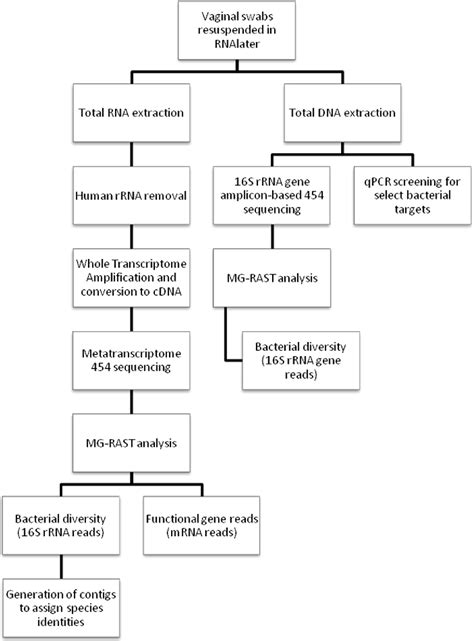 Figure 1 From The Potential Of Metatranscriptomics For Identifying Screening Targets For