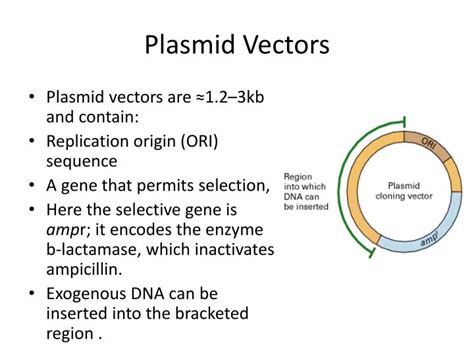Ppt Recombinant Dna Technology And Cloning Powerpoint Presentation Id 1605064