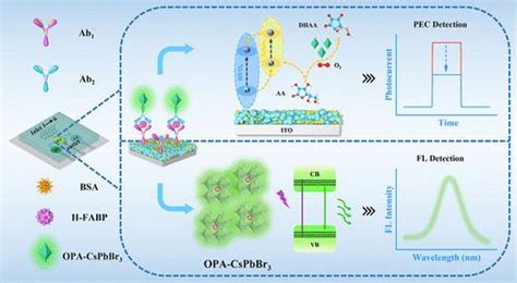 Advanced Dual Mode Microfluidic Sensing Platform Based On Amphiphilic Polymer Capped Perovskite