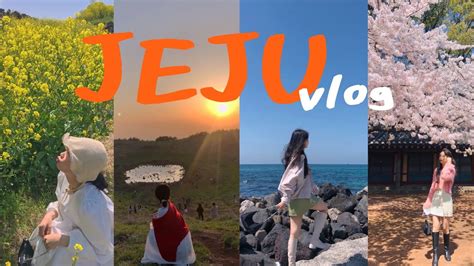 제주도 Vlog 🍊 응급실 간호사 3박4일 옷만 5벌이상 애월탐방 제주맛집 핫플 카페 데일리룩