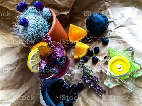 배경에 과일과 선인장으로 둘러싸인 유리에 얼음 조각이 있는 블랙베리 알코올 음료 0명에 대한 스톡 사진 및 기타 이미지 0명 과일 냉동된 Istock