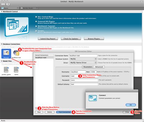 MySQL MySQL Workbench Querying Quick Tour