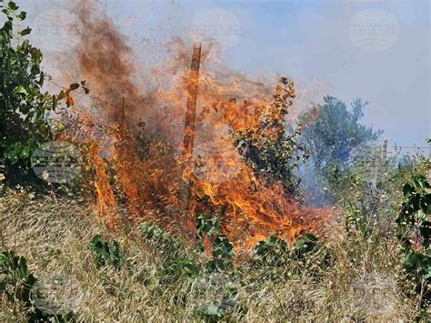 Пожар пламна на военния полигон Корен над хасковското село Брягово Утро