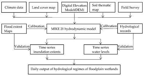 Modeling Hydrological Regimes Of Floodplain Wetlands Using Remote Sensing And Field Survey Data