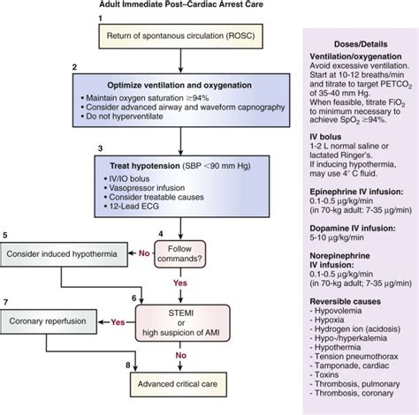 Acls Cardiac Arrest Vtach And Vfib Algorithm Acls Medical 50 Off