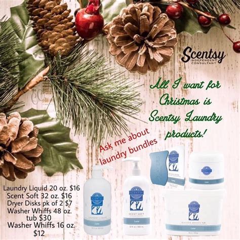 Pine Cone And Evergreen Leaf Holiday Scents Diffuser