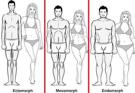 Somato What What You Should Know About Your Genetic Body Type