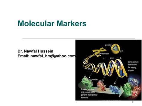 Role Of Biotechnology In Forensic Science Ppt