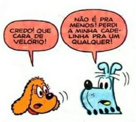 todo mundo é corno no bairro do limoeiro até a porra do cachorro r