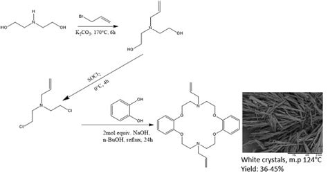 Molecules Free Full Text Synthesis And Characterization Of Macrocyclic Polyether Nn