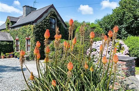 Toe Head Ireland Highlights