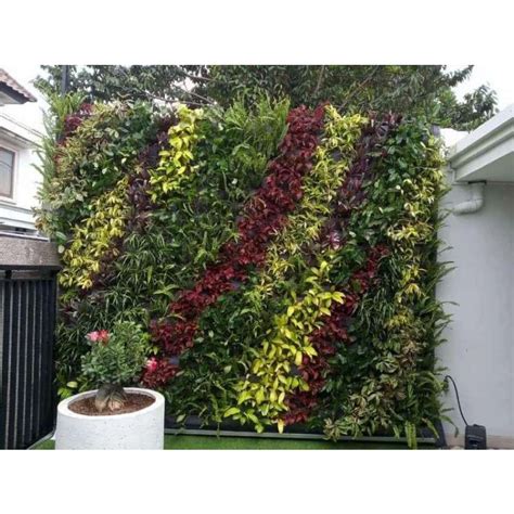 Jual Taman Vertikal Garden Taman Rumah Tanaman Hias Rumah Shopee Indonesia