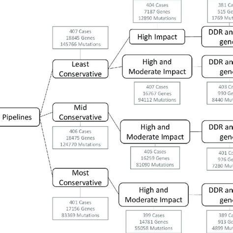 Pipeline For Dataset Generation Pathways Show The Data Selection And Download Scientific