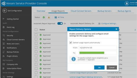 Service Provider Console How License Usage Reporting Works And Why Its Important