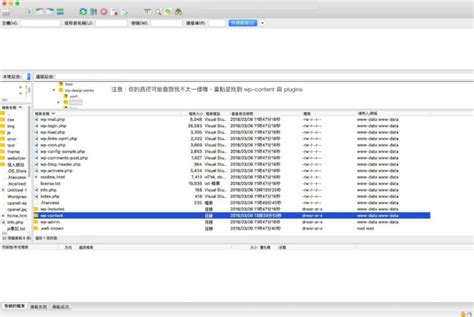 我的 wordpress 無法登入怎麼辦？ my design