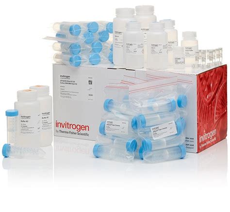 Invitrogen Jetquick Blood And Cell Culture Dna Maxiprep Kit 50 Prepsmolecular Fisher Scientific