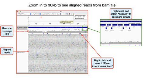 51 Short Read Mapping