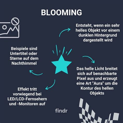 Blooming Definition Indicators Tvfindr Wiki