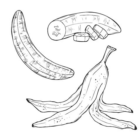 백색 바탕에 배치된 바나나 과일 터 프리미엄 벡터