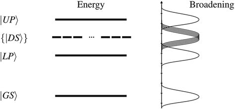 schematic representation of the tavis cummings model the upper up