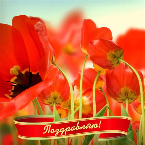 Маки красивые картинки с днем рождения