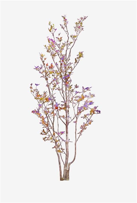 그림 일러스트 손으로 그린 수채화 나무 풍경 수채화 장식 수채화 환경 디자인 조경 정원 Png 일러스트 및 Psd 이미지 무료 다운로드 Pngtree 건축