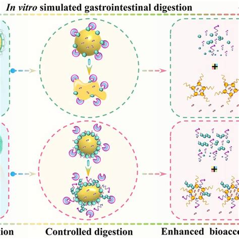 Jingbo Liu Chinese Academy Of Sciences Beijing Cas Division Of