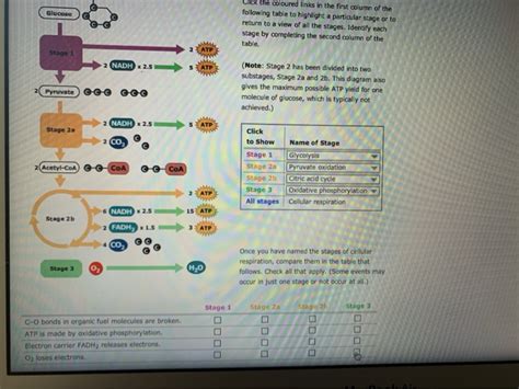 solved glucose click the coloured links in the first column