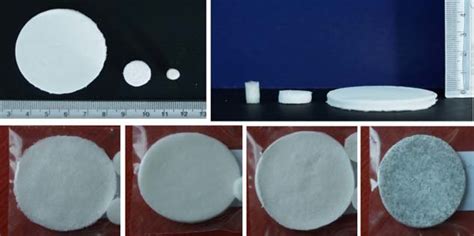 Porous Composite Sponge Made From Collagen β Tcp And Magnesium Download Scientific Diagram