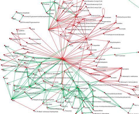 2 A Directed Metabolic Graph Produced From Microarray Data Of Gene