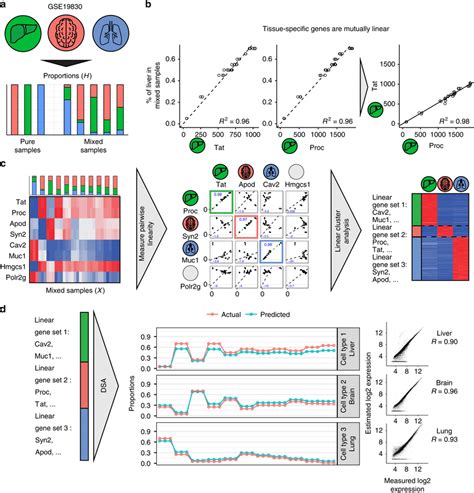 Mutual Linearity Of Cell Type Specific Genes Enables Complete