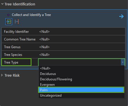Configure Feature Layers And Fields For Editing In ArcGIS Pro