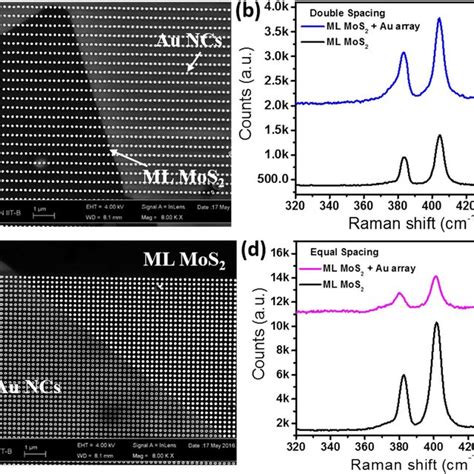 Lumerical Fdtd Simulation Results For Au Plasmonic Array Ml Mos 2 Sio Download Scientific