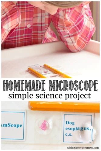 How To Make Microscope Slides At Home A Guide For Beginners