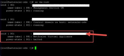 how to delete a hidden vpx instance on a citrix netscaler sdx using