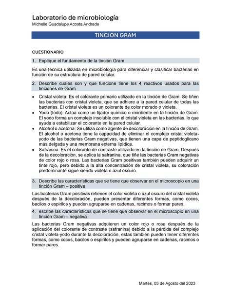 22031264 Tincion Gram Laboratorio De Microbiología Michelle Guadalupe