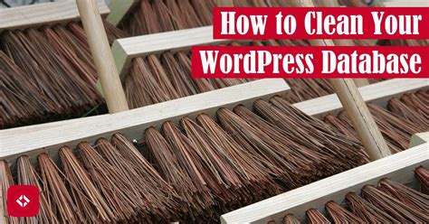 How To Clean Your Wordpress Database The Renegade Coder
