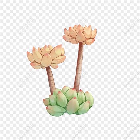 즙이 많은 Png 일러스트 무료 다운로드 Lovepik