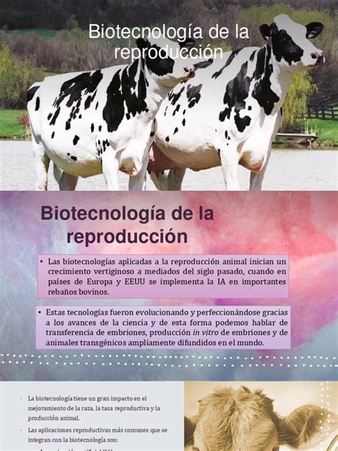 4a Ba ReproducciÓn Hembra Pdf Sistema Reproductivo Útero